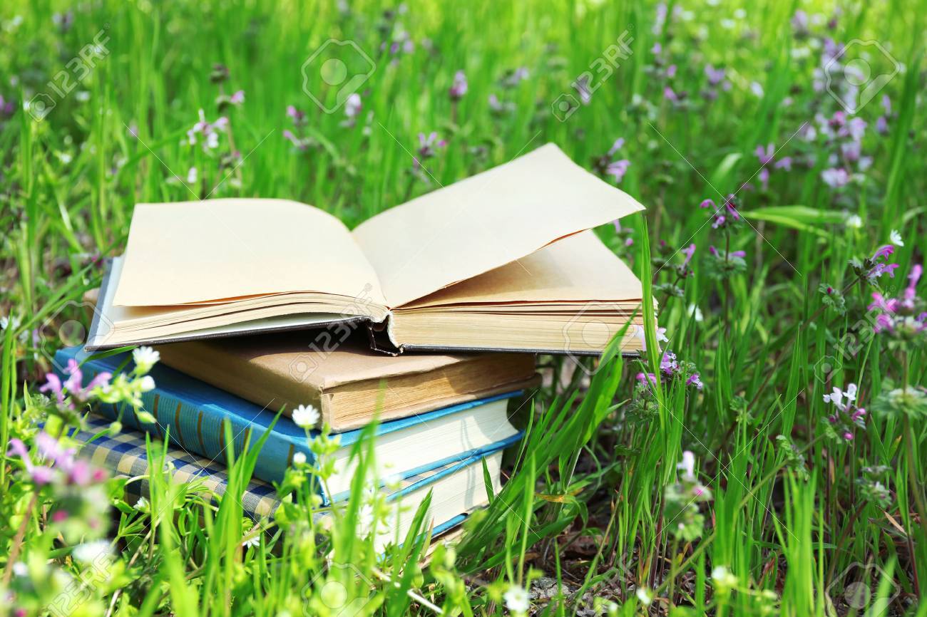 31 Best Books for Spring! ~ Book Nation by Jen